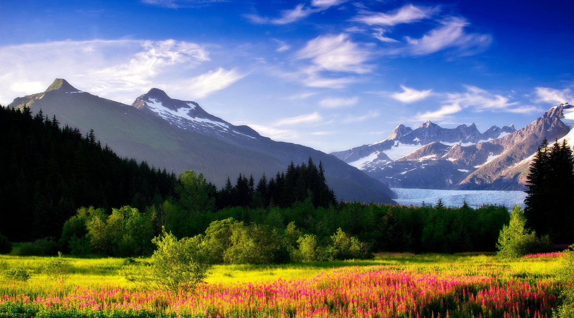 Infinite Wilderness
